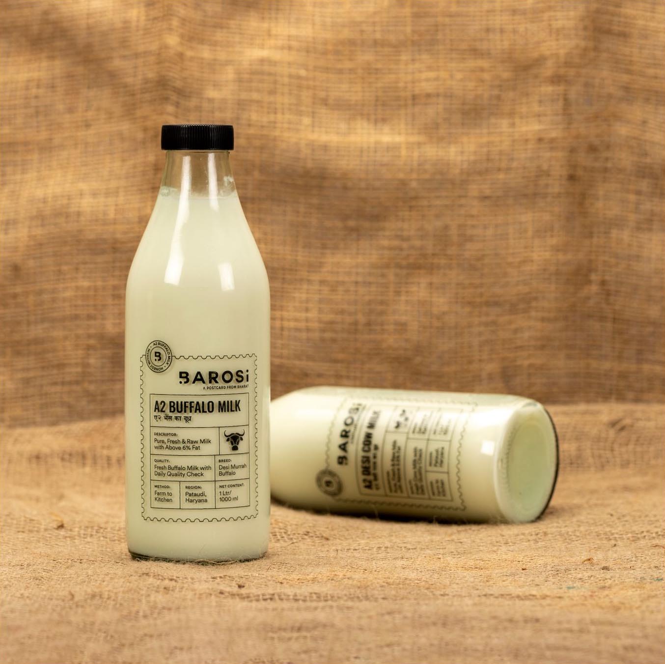 Buffalo Milk Some Facts You Must Know Buffalo Milk Some Facts You Must Know